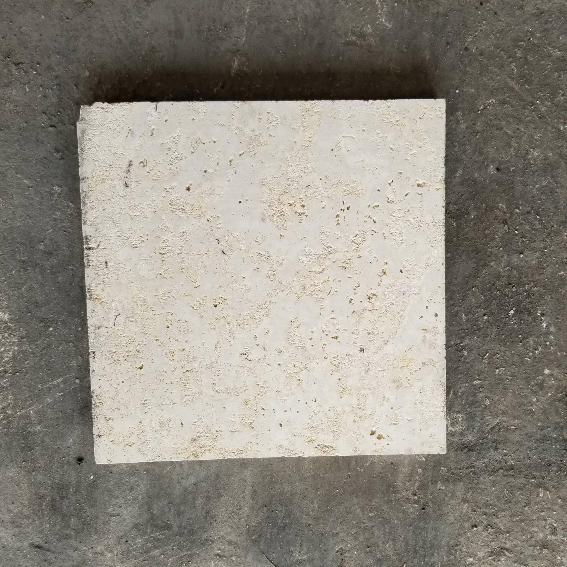Natural Shell Stone Tile #T1 – Everything Warehouse