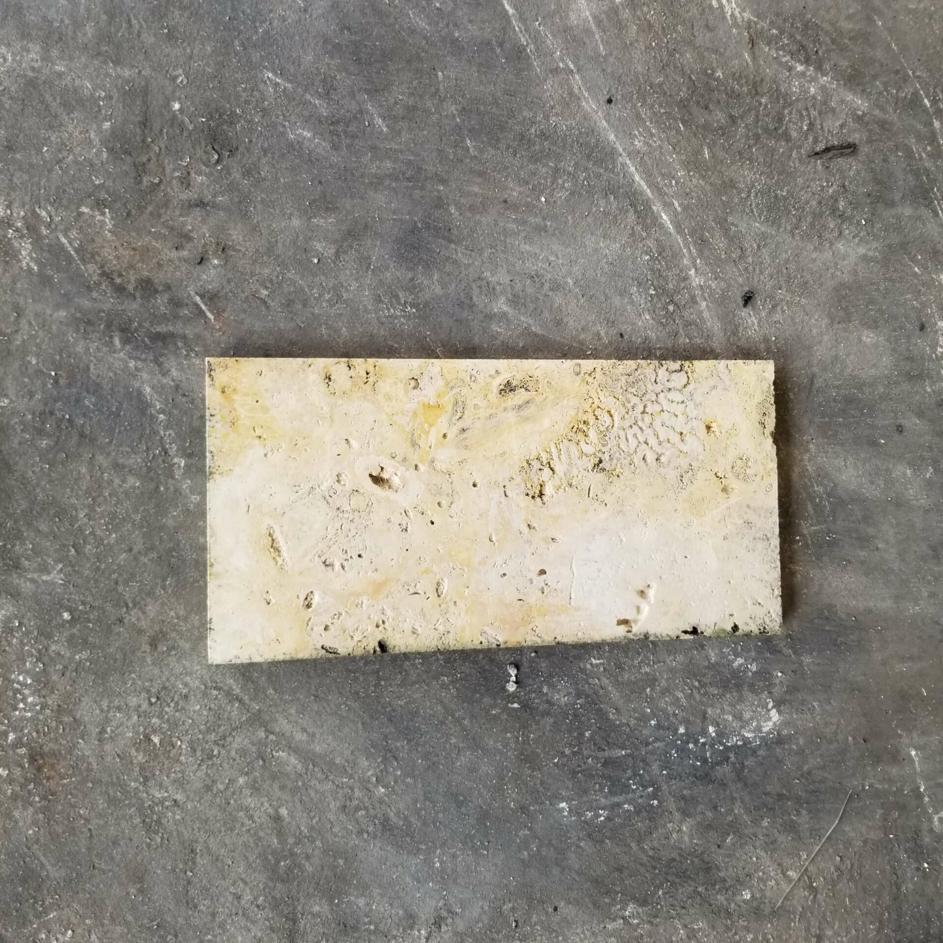 Natural Shell Stone Tile #T4 – Everything Warehouse