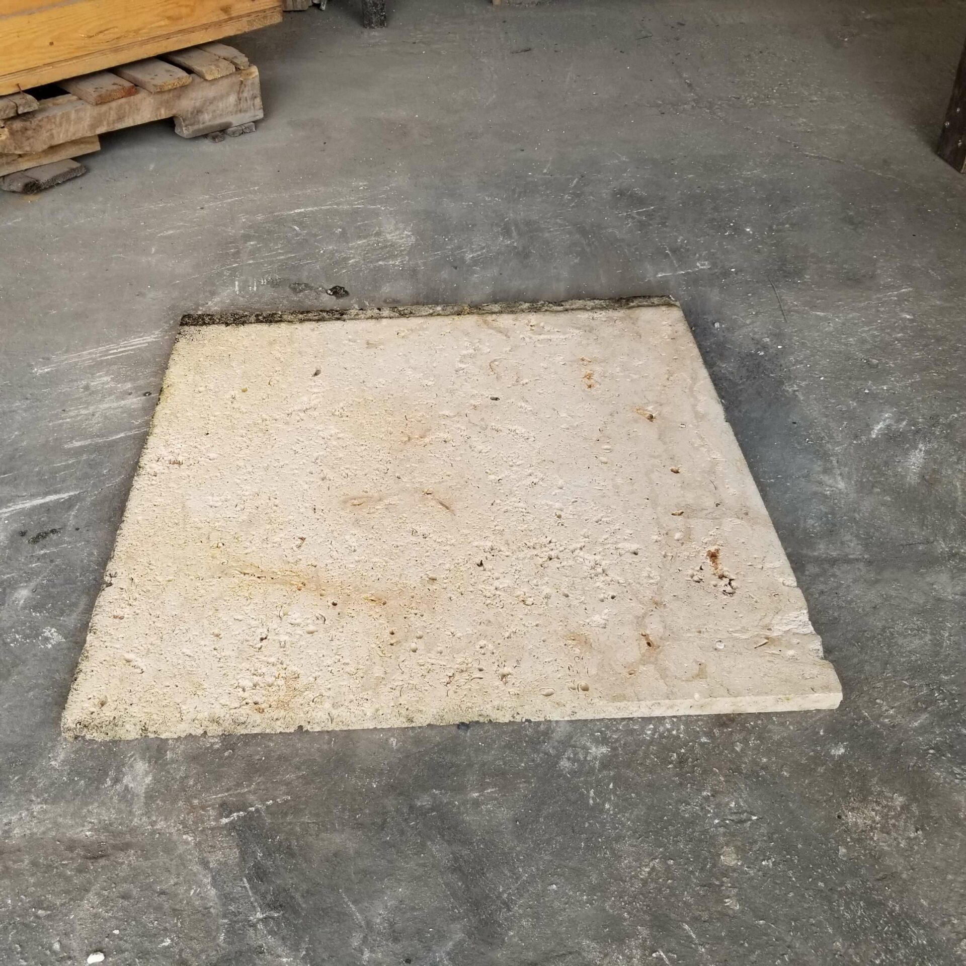 Natural Shell Stone Tile #T8 – Everything Warehouse